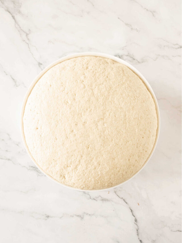 Yeasted Beer Rolls (for dinner and sandwiches) - Vintage Kitchen Notes