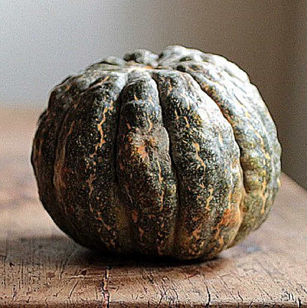 Easy Roasted Pumpkin (how to recipe) - Vintage Kitchen Notes
