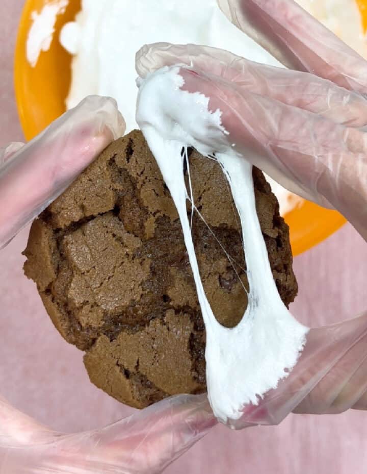 Spider Web Cookies - Vintage Kitchen Notes