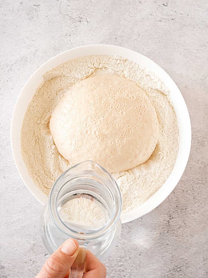 Semolina Bread Rolls (yeasted) - Vintage Kitchen Notes