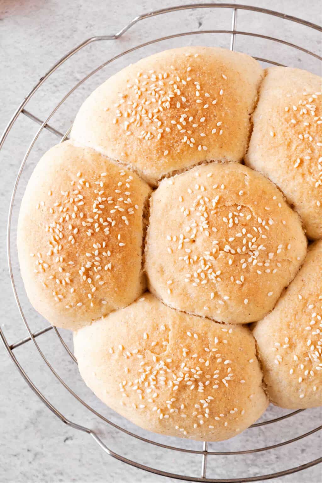 Semolina Bread Rolls (yeasted) - Vintage Kitchen Notes