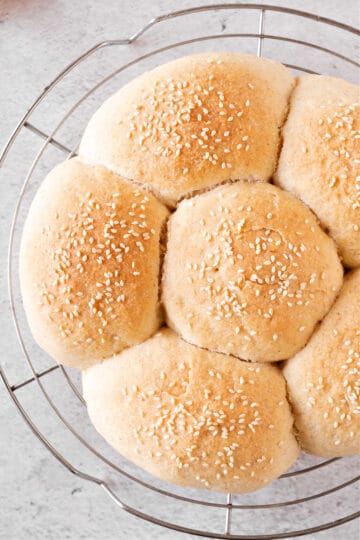 Semolina Bread Rolls (yeasted) - Vintage Kitchen Notes