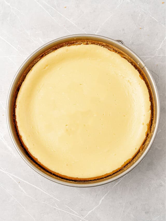 Creamy Classic Cheesecake (no water bath) - Vintage Kitchen Notes