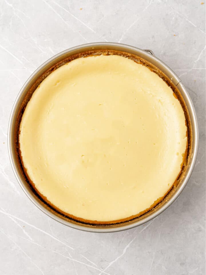 Creamy Classic Cheesecake (no water bath) - Vintage Kitchen Notes
