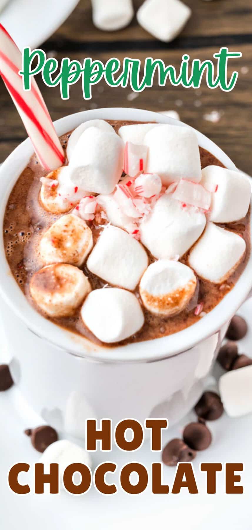 Peppermint Hot Chocolate (10 minute recipe) - Vintage Kitchen Notes