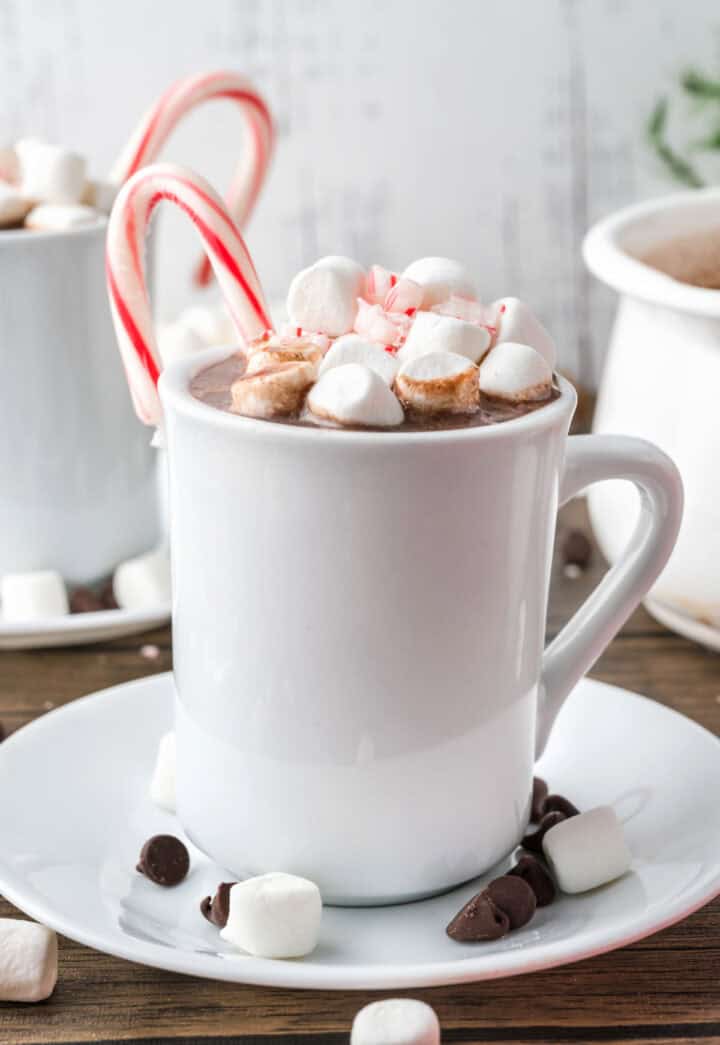 Peppermint Hot Chocolate (10 minute recipe) - Vintage Kitchen Notes