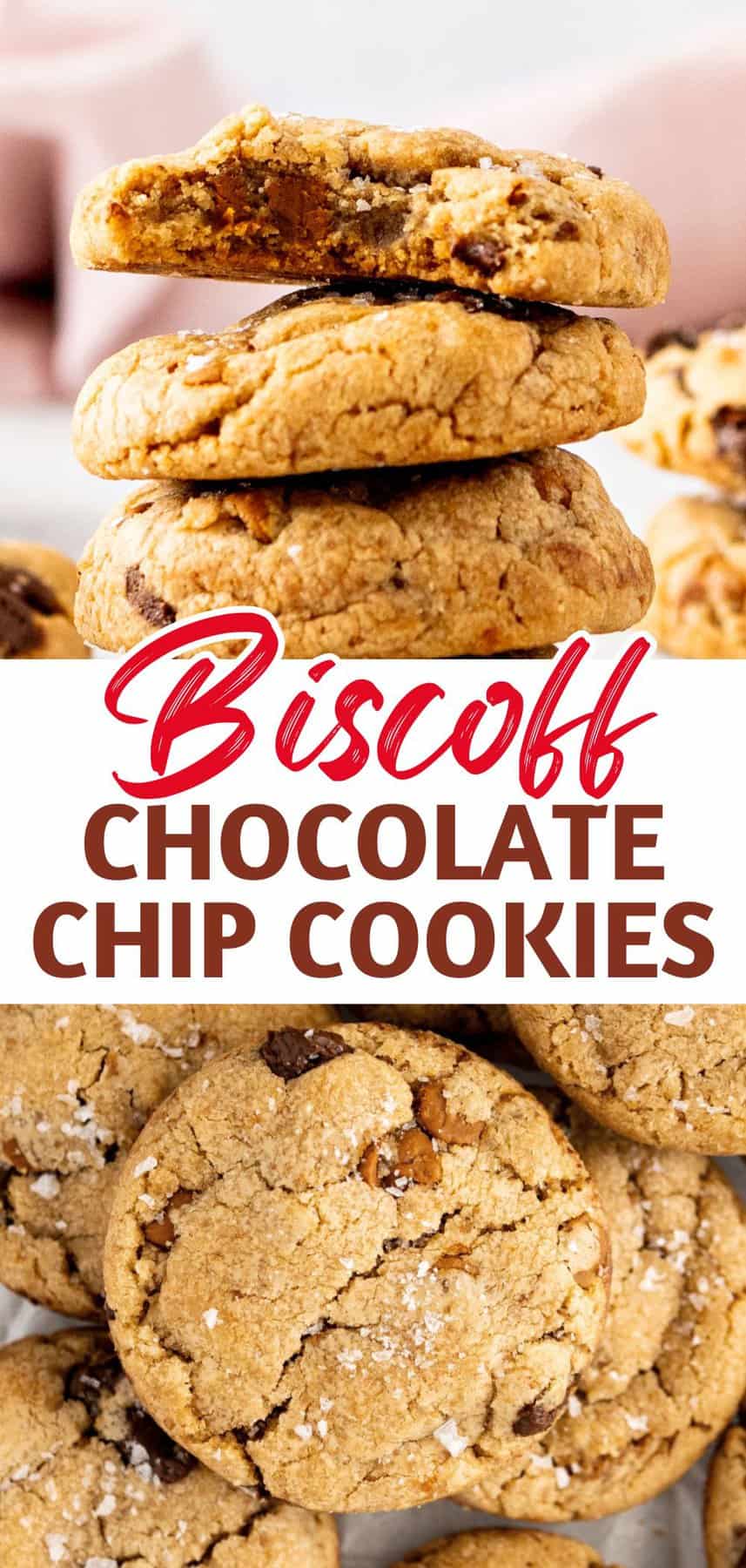 Biscoff Chocolate Chip Cookies - Vintage Kitchen Notes