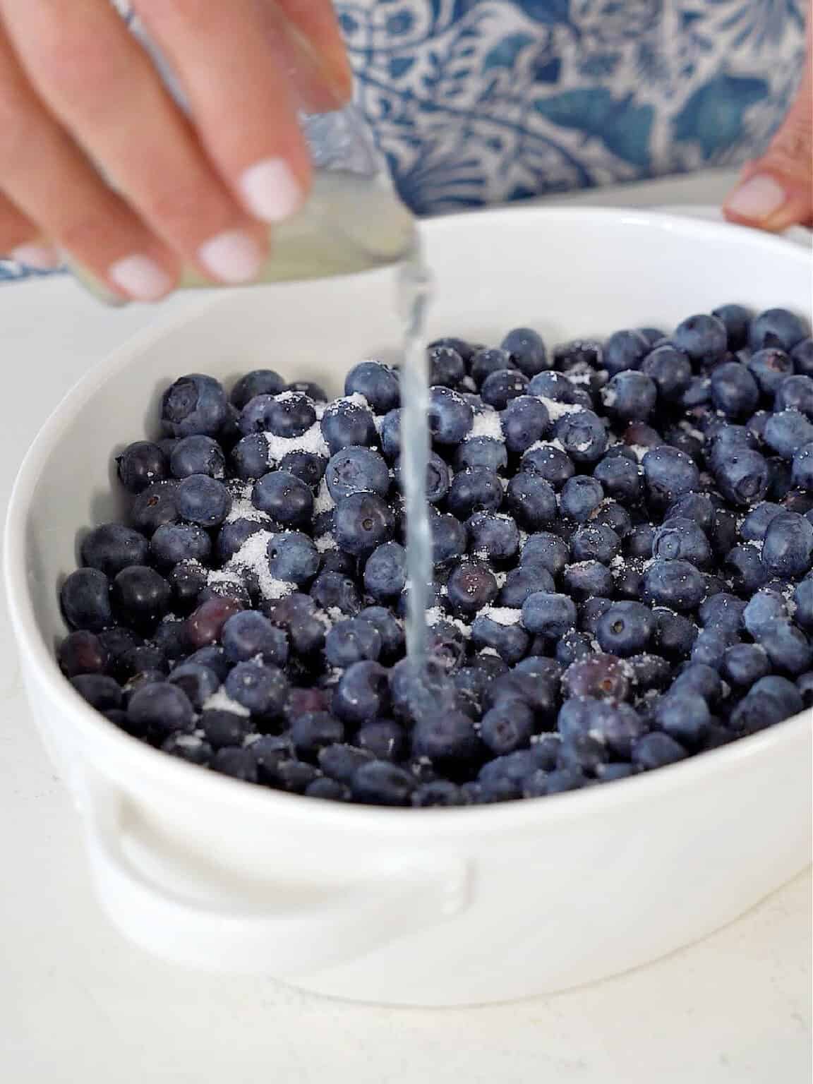 Quick and Easy Blueberry Crisp (oat topping) - Vintage Kitchen Notes